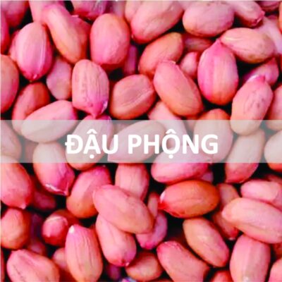 Nguồn Hàng Giá Sỉ - Trang Chủ